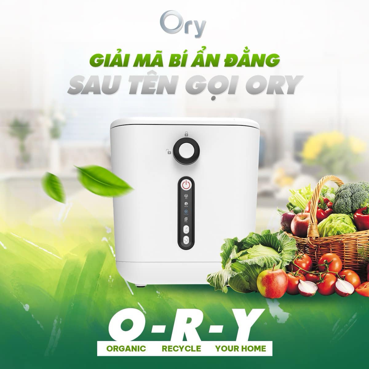 introduction | Ory